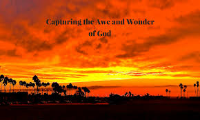 Willing to Wonder – Meditating to Heal